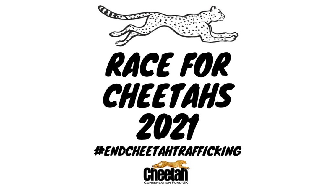 Ricky Reino is fundraising for Cheetah Conservation Fund UK