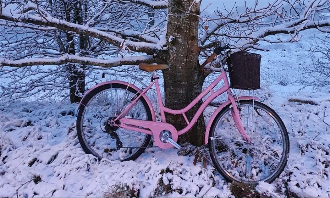 Alicia Allgood is fundraising for Alzheimer's Research UK