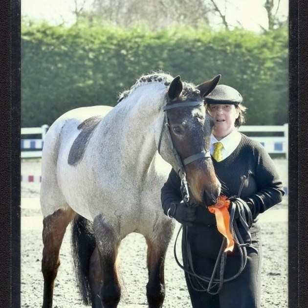 Janice Hawes is fundraising for Hannah's Willberry Wonder Pony Charity