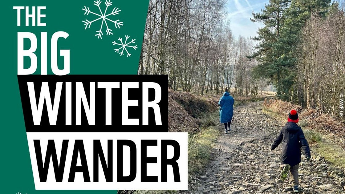 Lyra Evison is fundraising for WWF-UK