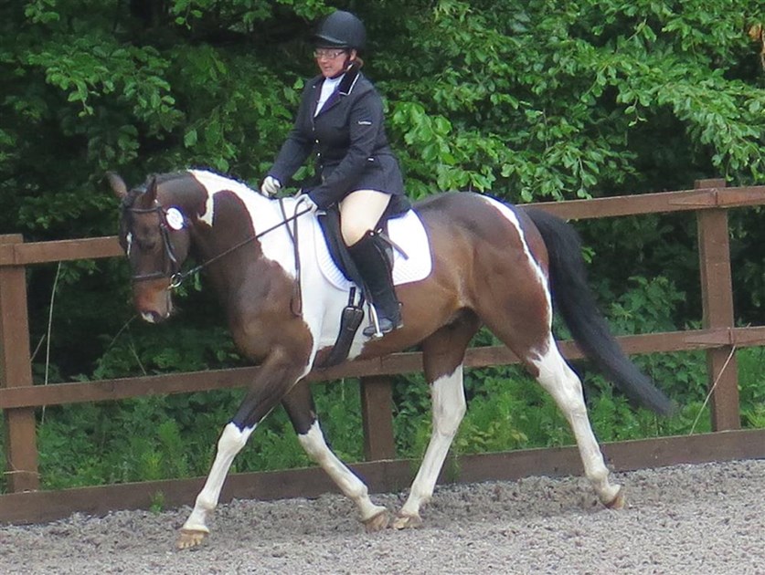 Amanda Keech is fundraising for Hannah's Willberry Wonder Pony Charity