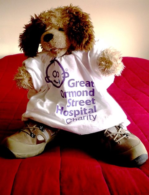 George Macintosh is fundraising for Great Ormond Street Hospital ...