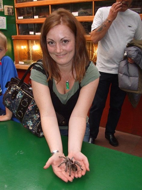 Nicole Lafferty is fundraising for Shelter