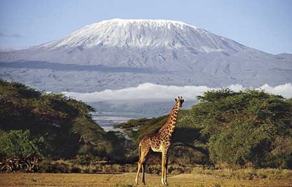 Kayleigh Gunner is fundraising for Holme Valley Mountain Rescue Team