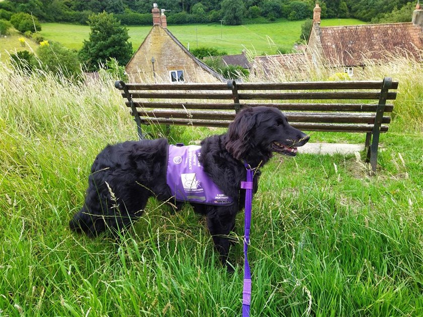 Ruth Rice is fundraising for Canine Partners