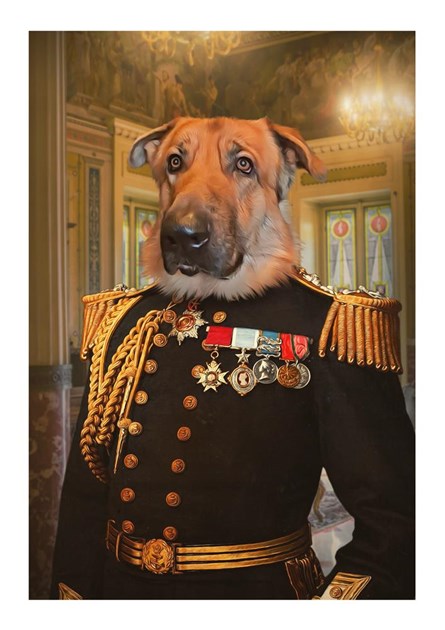 Zara Bullen is fundraising for Battersea