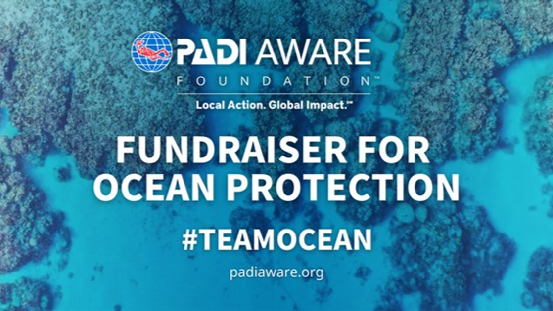 Brad Vanstone is fundraising for Project AWARE Foundation (International)