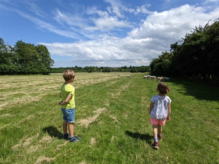 Clare Field is fundraising for Emmaus