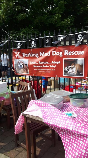 Kelly Eaton is fundraising for Barking Mad Dog Rescue