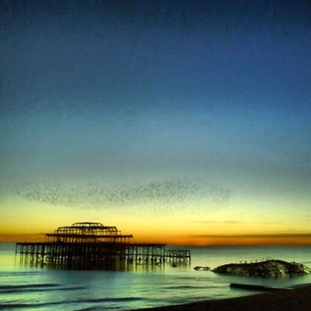 Paul Tappenden is fundraising for The Lily Foundation