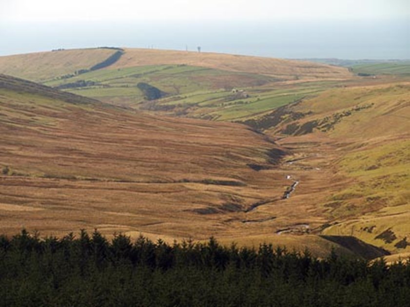 Rebecca Treen is fundraising for Addenbrooke’s Charitable Trust