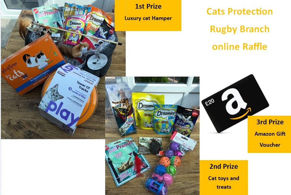 Rugby Branch is fundraising for Cats Protection