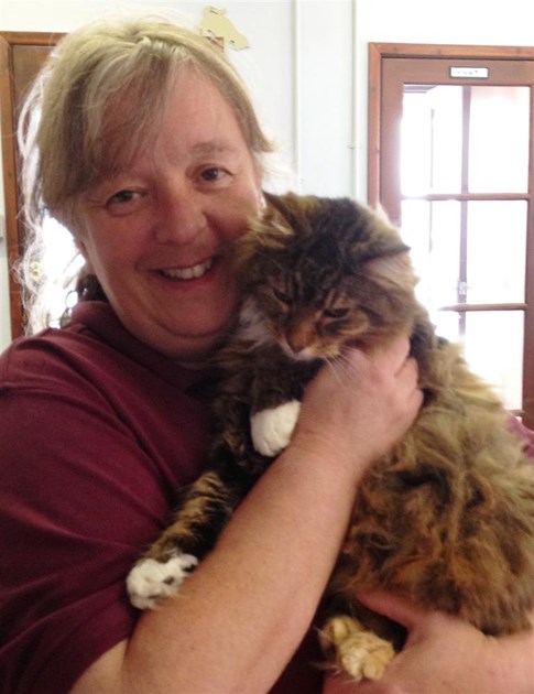 Lisa Steward is fundraising for Foal Farm