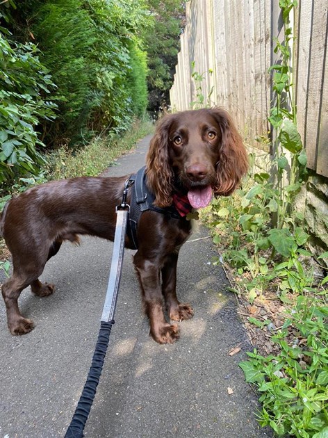 Jade Hadfield is fundraising for Cancer Research UK for Children ...