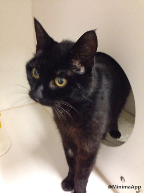 Susan Hancox is fundraising for BLEAKHOLT