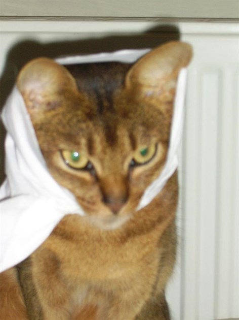 Julia Waterman is fundraising for Cancer Research UK