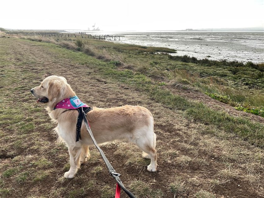 Hayley Stacey is fundraising for Dementia UK