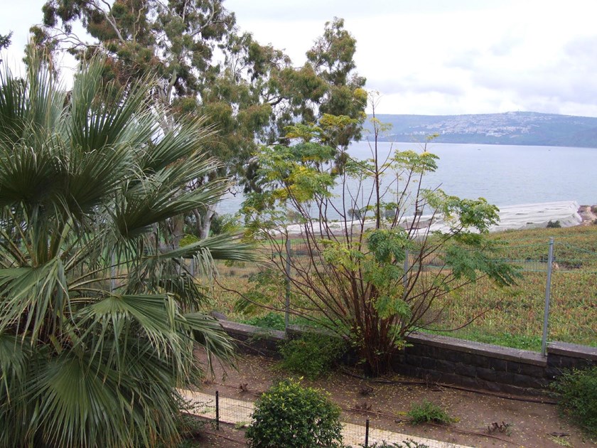 BRUCE GRAINGER is fundraising for MCCABE EDUCATIONAL TRUST