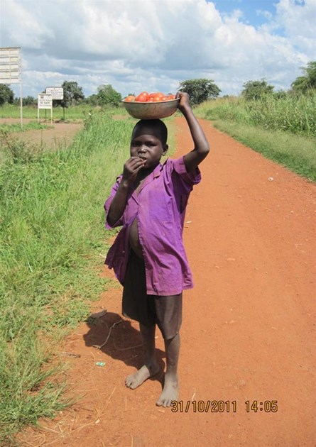 Mandy Scott-Johnson is fundraising for African Revival