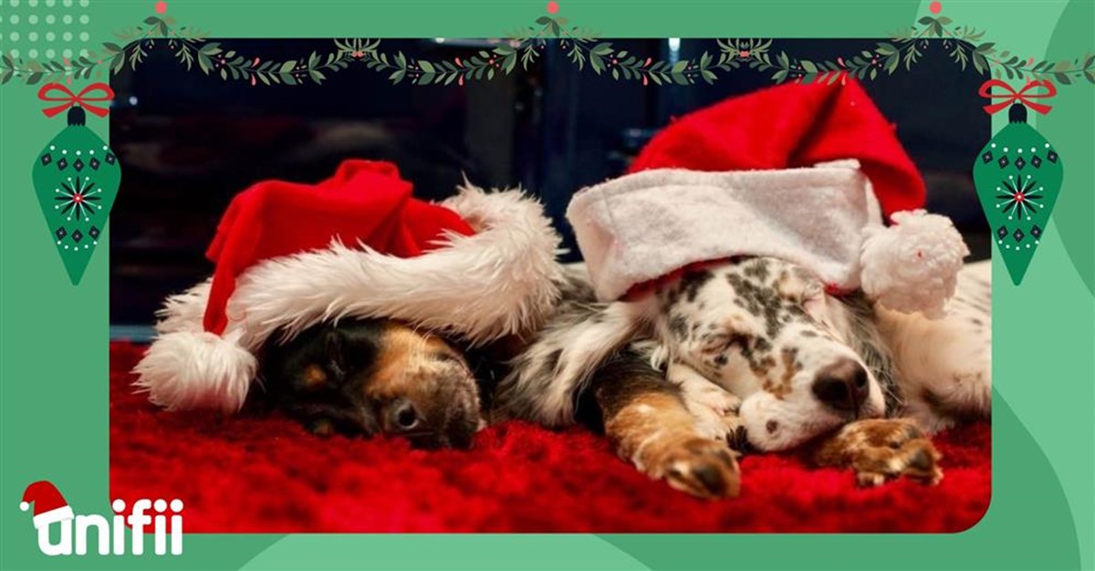 Clare Hubbard is fundraising for Save the Children