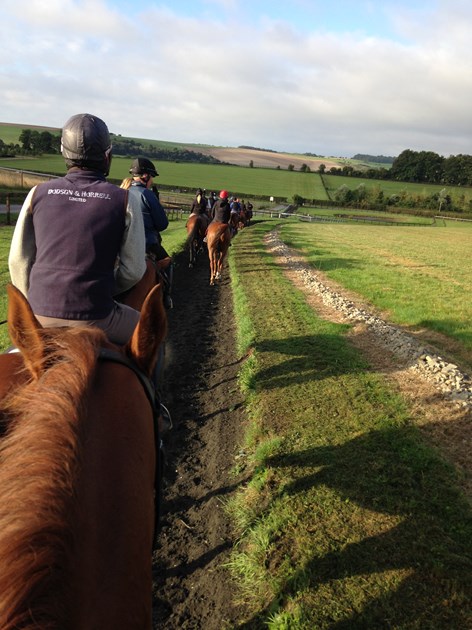 Polly Portwin is fundraising for The Countryside Alliance Foundation