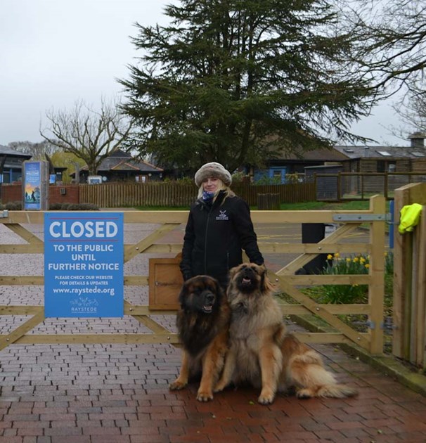 Raystede Fundraising is fundraising for Raystede Centre For Animal ...