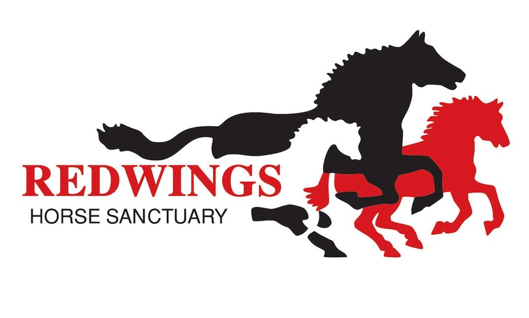 Jennifer & Calder is fundraising for Redwings Horse Sanctuary