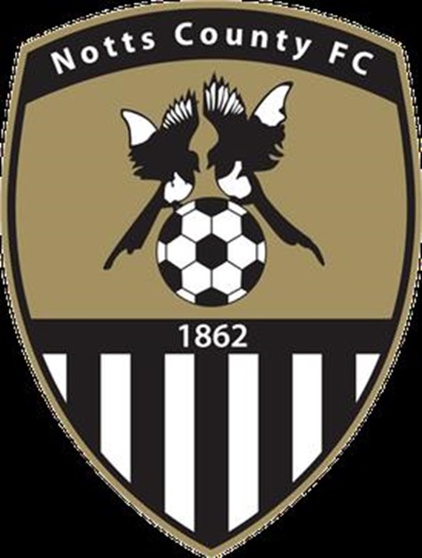 Les Bradd is fundraising for Notts County Foundation