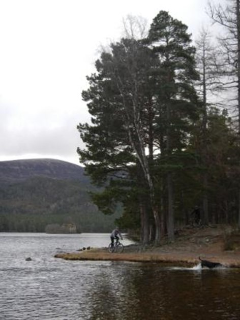 Gavin Matheson is fundraising for Highland Hospice