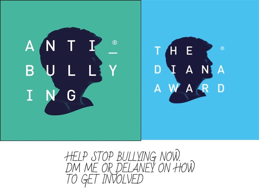 Anti-Bullying & Self-Harm is fundraising for The Diana Award