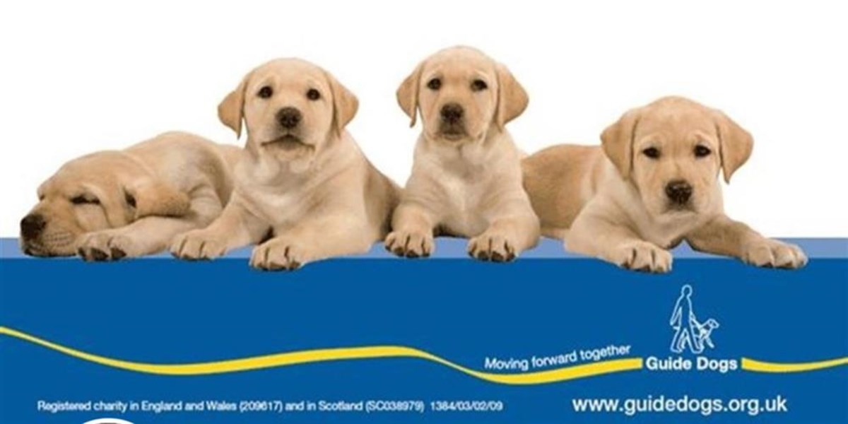 Caroline Pye is fundraising for Guide Dogs