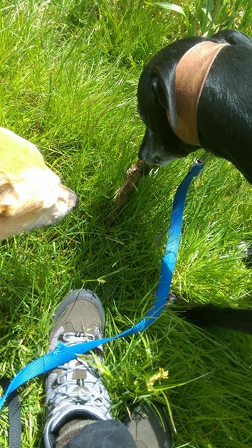 Jeremy Butson is fundraising for Alzheimer's Society