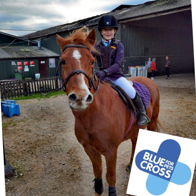 Aaliyah Prentice is fundraising for Blue Cross