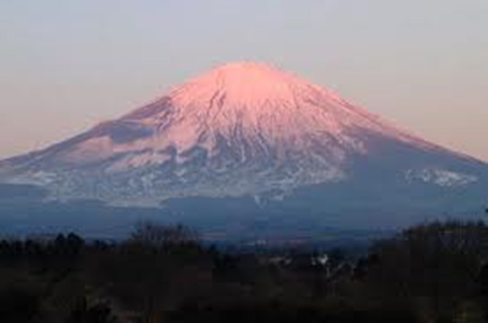 Emma Overton is fundraising for Macmillan Cancer Support