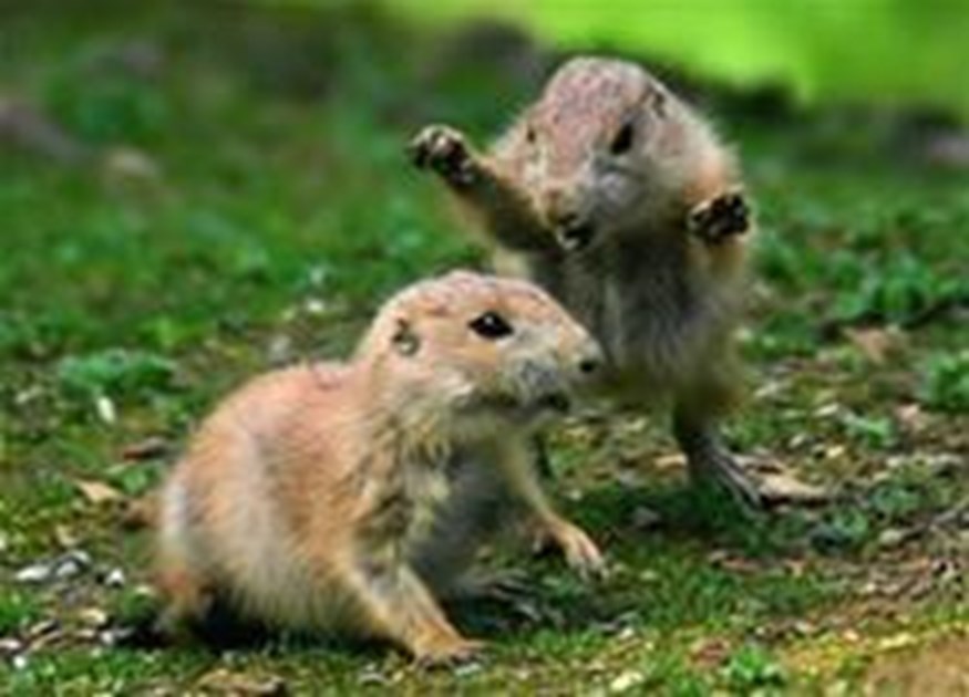 Stephanie Lodge is fundraising for Cancer Research UK