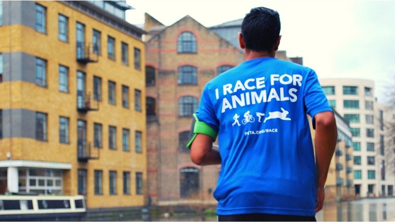 Tobba Andersson is fundraising for People For The Ethical Treatment Of ...