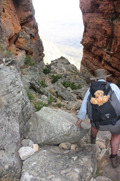 Amanda O'Farrell is fundraising for Cancer Research UK