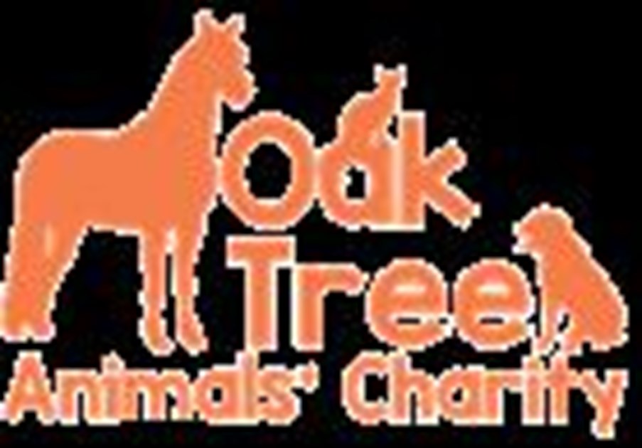 Equine Team is fundraising for Oak Tree Animals' Charity