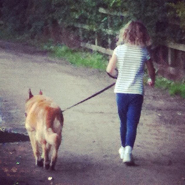 Kate Roach is fundraising for The Kit Wilson Trust for Animal Welfare