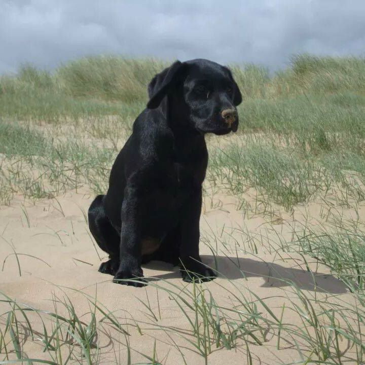 Glenn Lockett-Priestley is fundraising for Cancer Research UK