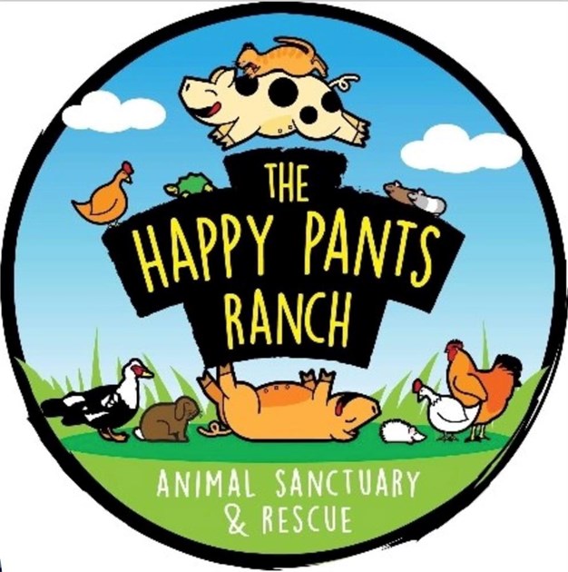 Dawn Donohoe is fundraising for the happy pants ranch