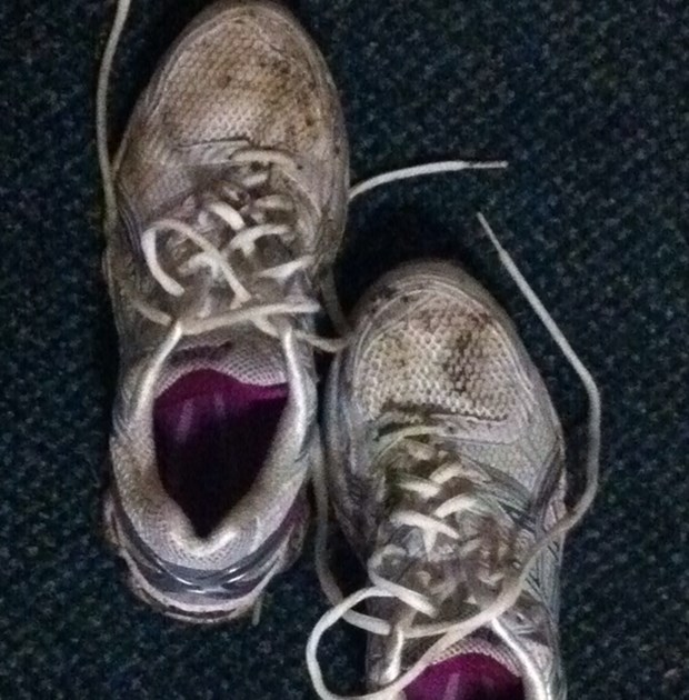 Carol Cunningham is fundraising for Papworth Trust