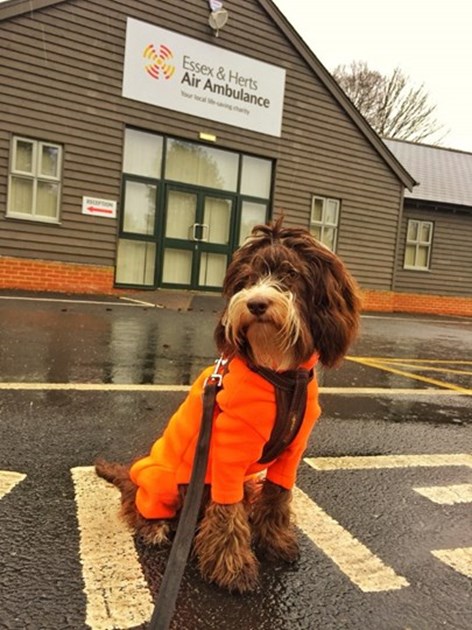 TJ Mortimer is fundraising for Essex & Herts Air Ambulance