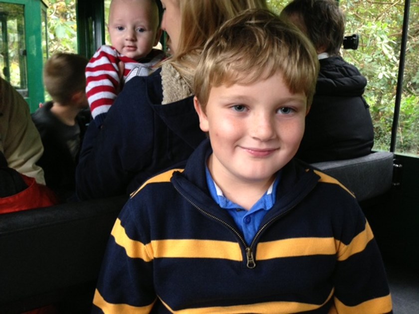 Felicity Field is fundraising for Pancreatic Cancer UK