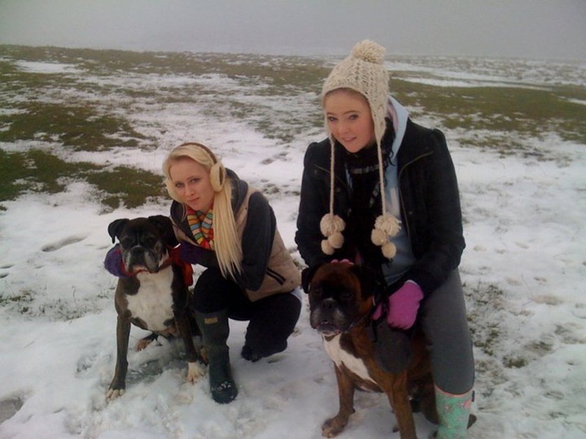 Kate Kenyon is fundraising for SARDA Wales