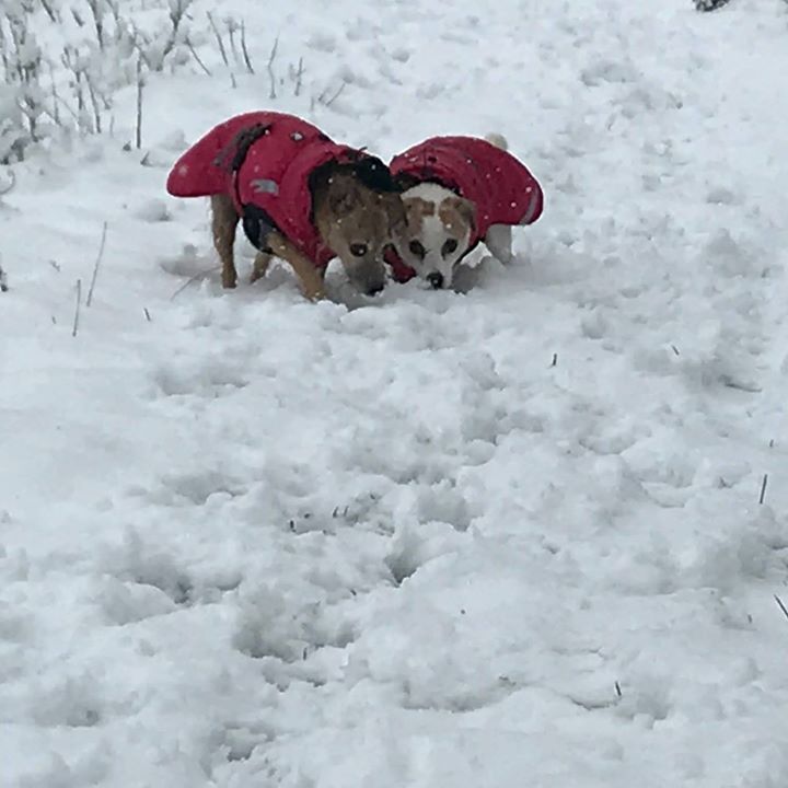 Maria Masselis is fundraising for PROSTATE CANCER UK