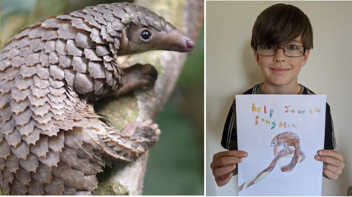 Andrew Dobell is fundraising for David Shepherd Wildlife Foundation