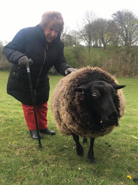 Jeff Highfield is fundraising for The National Brain Appeal