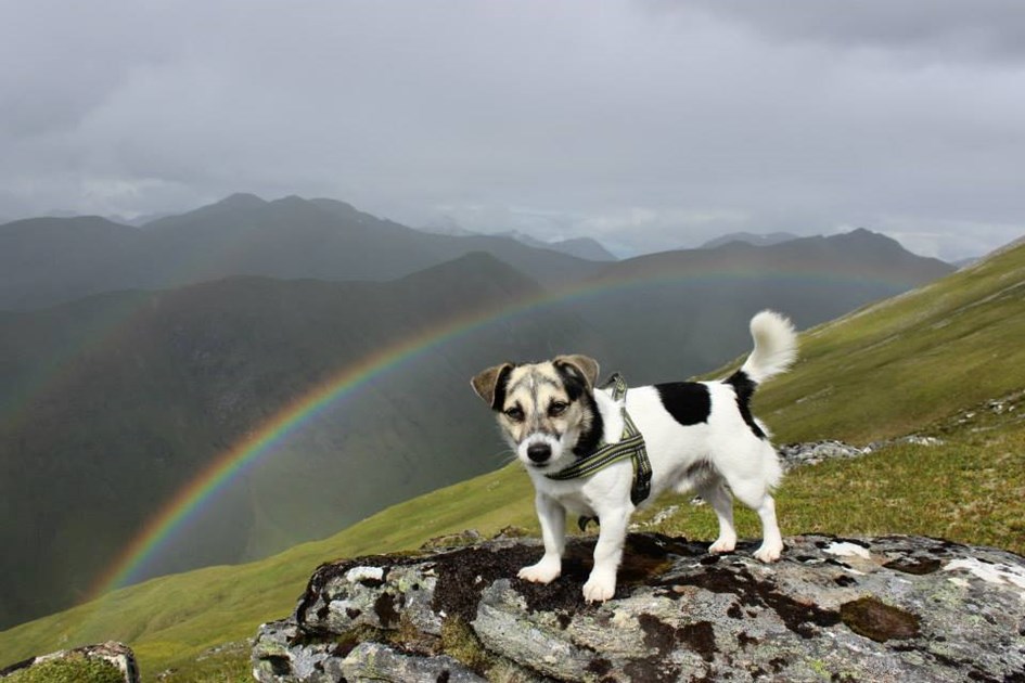 micky jones is fundraising for Highland Hospice