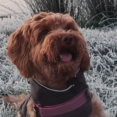 Philip Budden is fundraising for Lewis-Manning Hospice Care